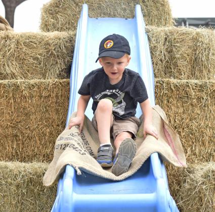BestFest offers family activities - Fredericksburg Standard