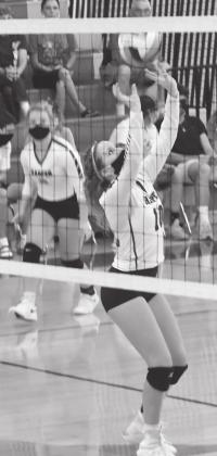 Harper gets back on track - Fredericksburg Standard