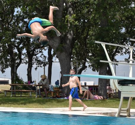 Diving Into Summer - Fredericksburg Standard - Fredericksburg Standard