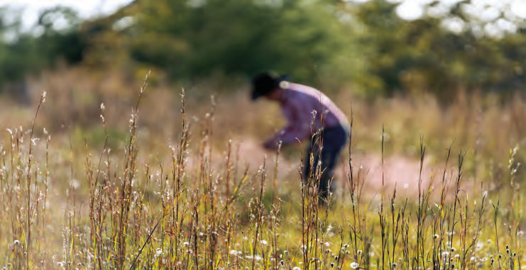 Stewardship webinar on July 6 will help to determine ranchland friends ...