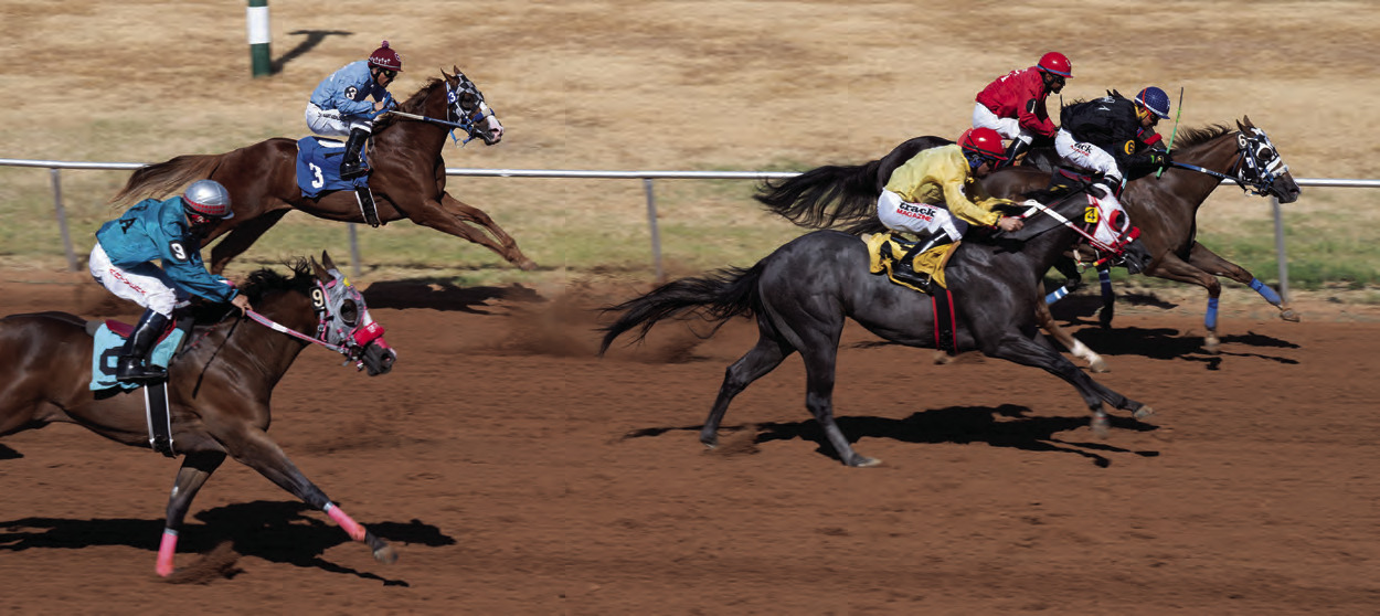 Horses return for Gillespie County Race Meet - Fredericksburg Standard