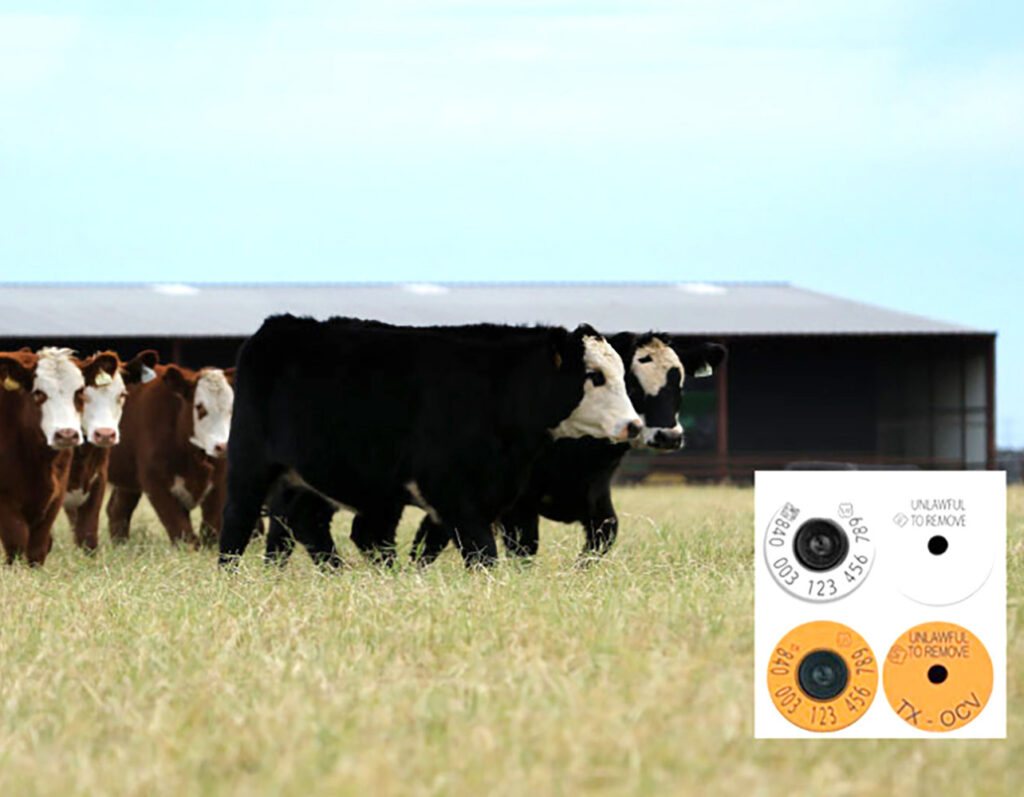 USDA electronic tag mandates worry some ranchers - Fredericksburg Standard