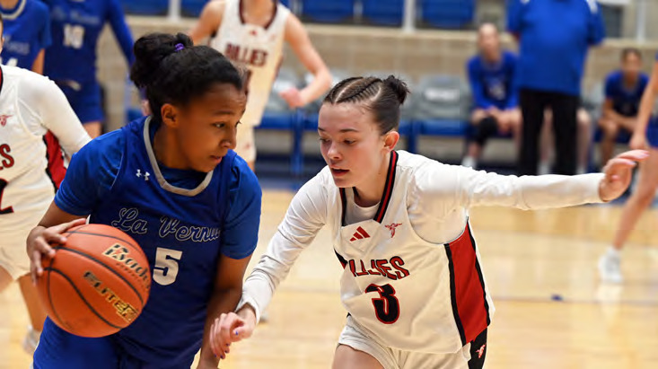 FHS girls’ basketball captures area title - Fredericksburg Standard