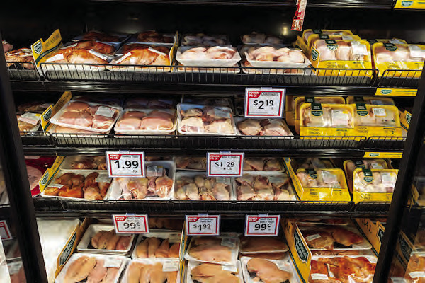 Chicken meat prices hold steady despite rising egg costs ...