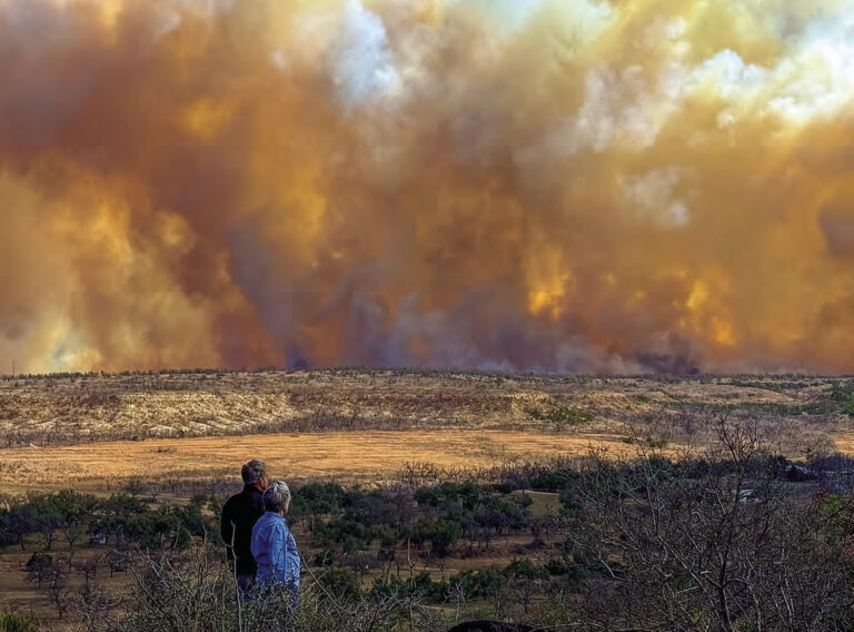 Report: Texas has worst feral hog problem in U.S. - Fredericksburg Standard