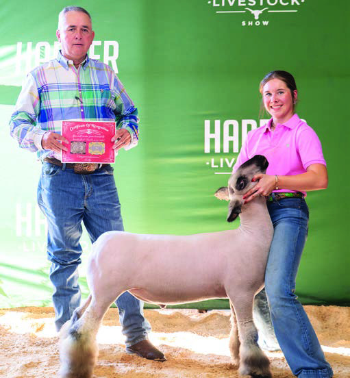 CATTLE - Fredericksburg Standard