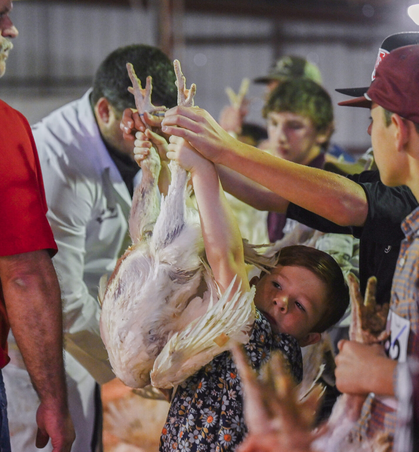 Texas House candidate will be Gillespie Dems’ guest speaker ...